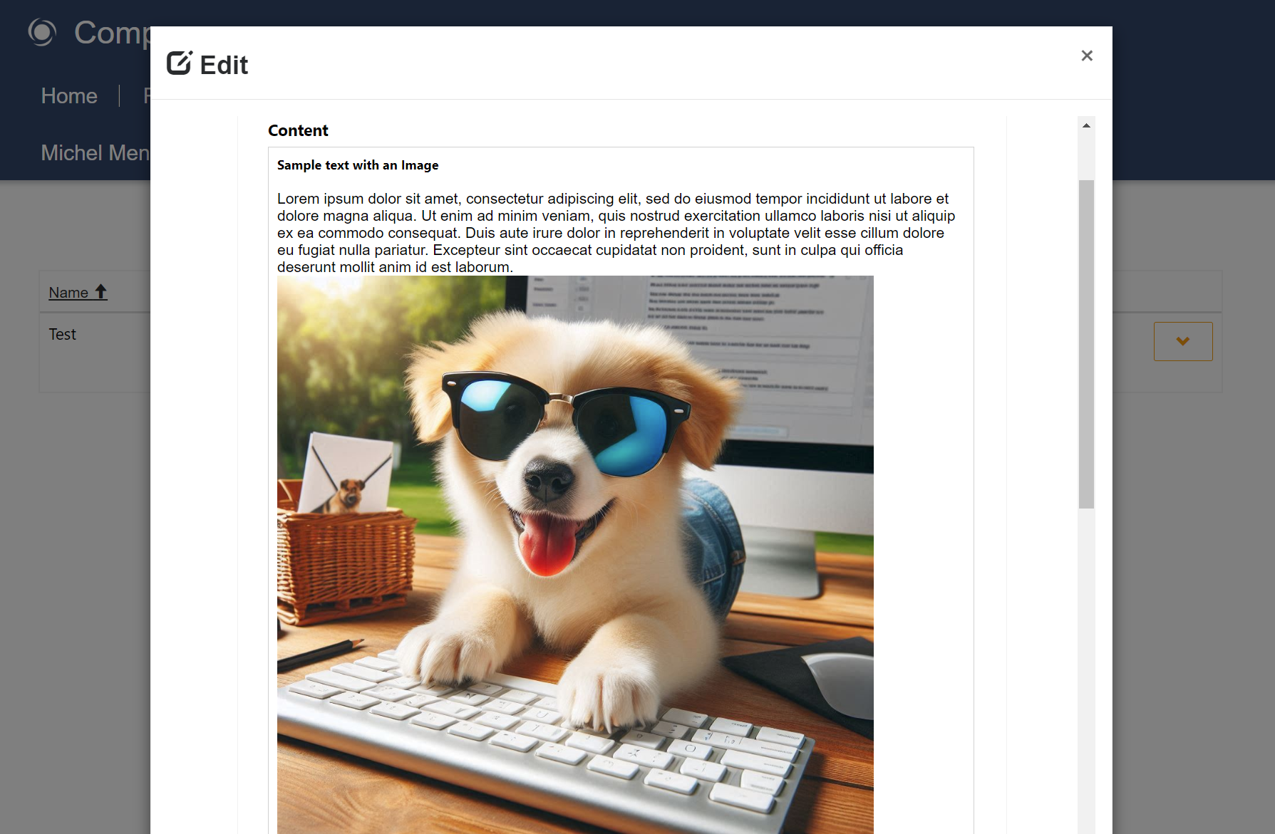 Power Pages: Use a custom Rich Text Files table to store images (and ...