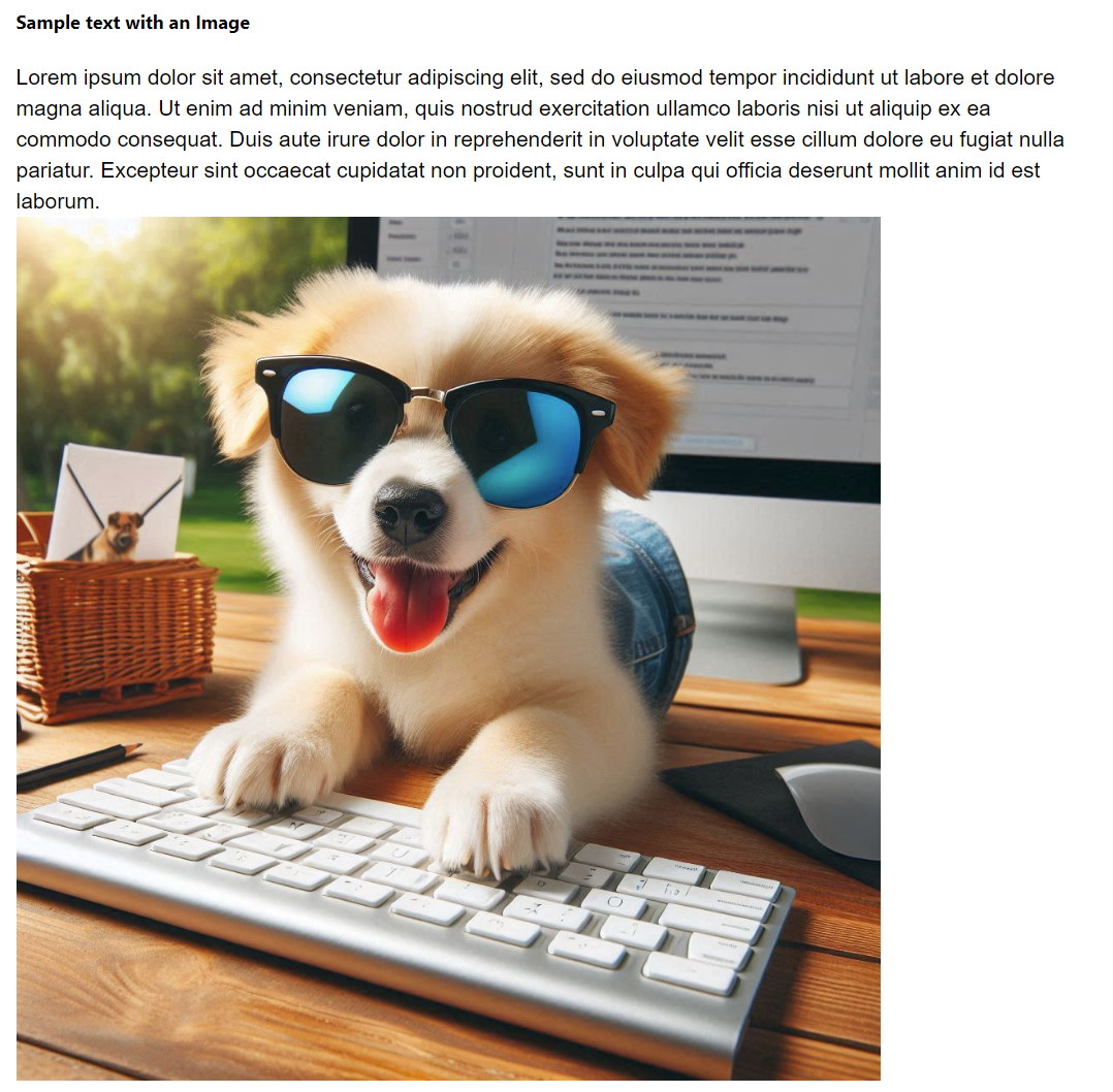 Power Pages: Use a custom Rich Text Files table to store images (and ...
